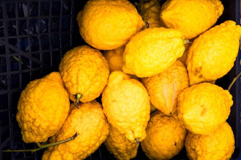 Differenza tra limone e cedro: origini, aspetto e sapore